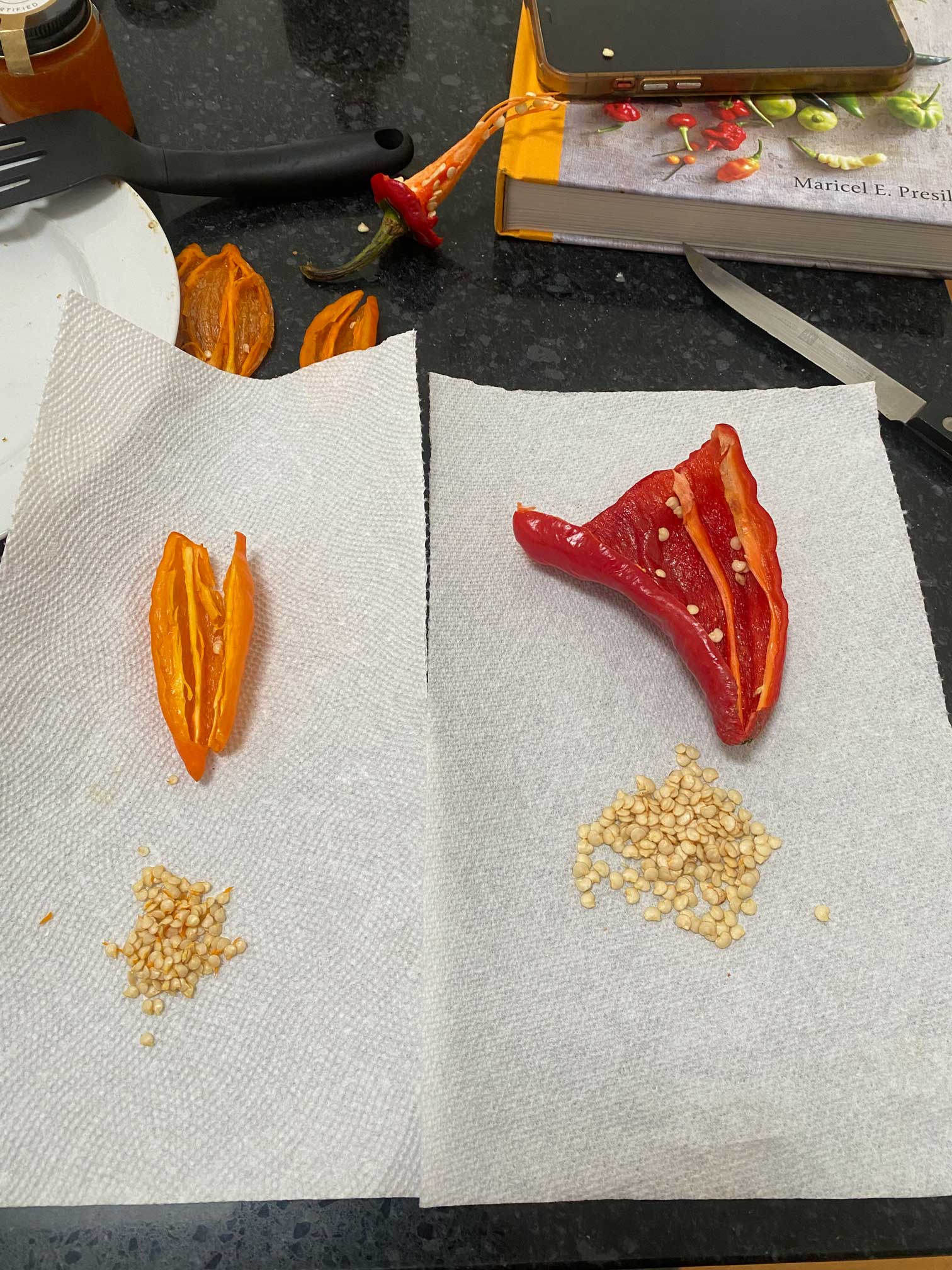 Learning to Grow with The Hampton’s Pepper Professionals – World ...