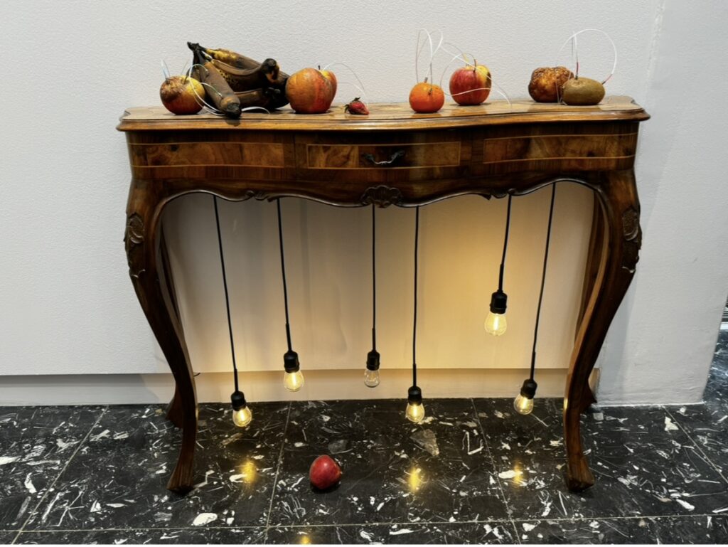 Yuko Mohri: Transforming Plant Fruit Decay into Melody and Meaning ...