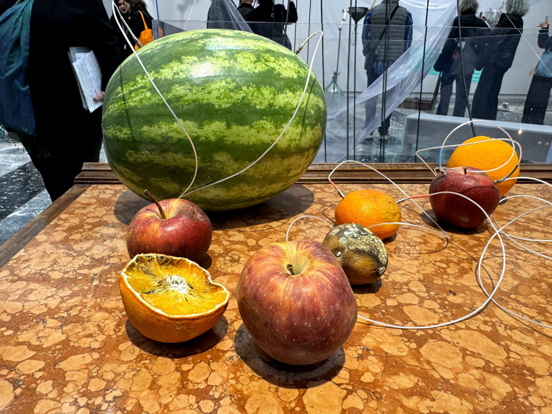 Yuko Mohri: Transforming Plant Fruit Decay into Melody and Meaning ...