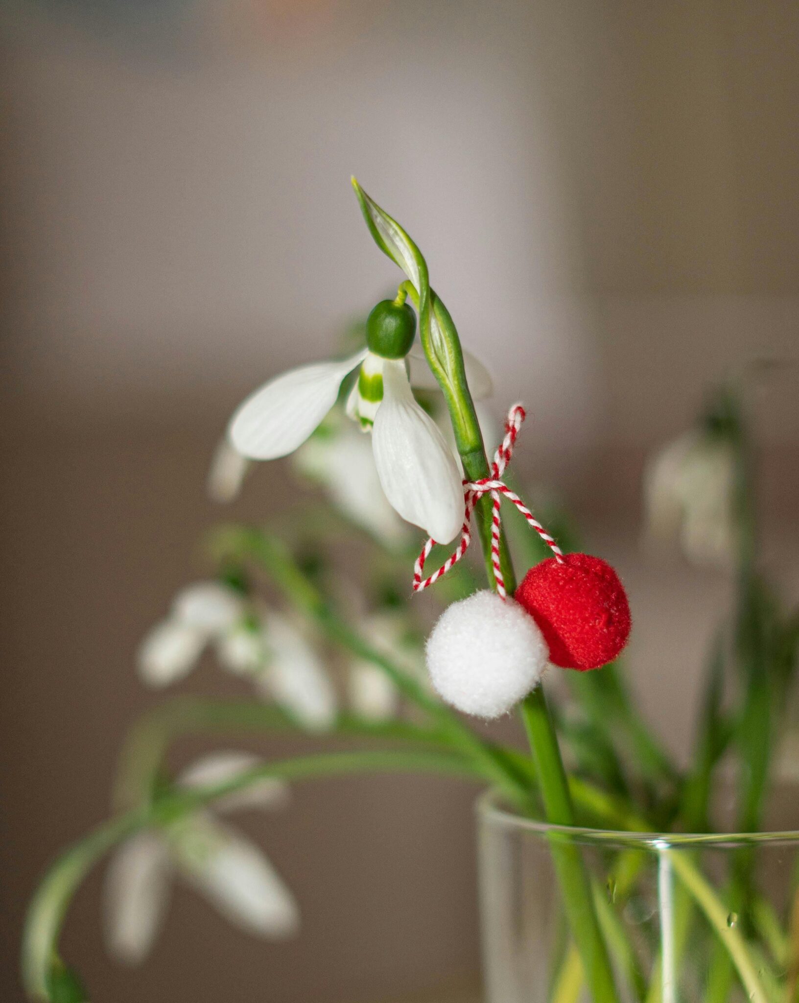 Viriditas: Musings on Magical Plants – Galanthus spp. – World Sensorium ...