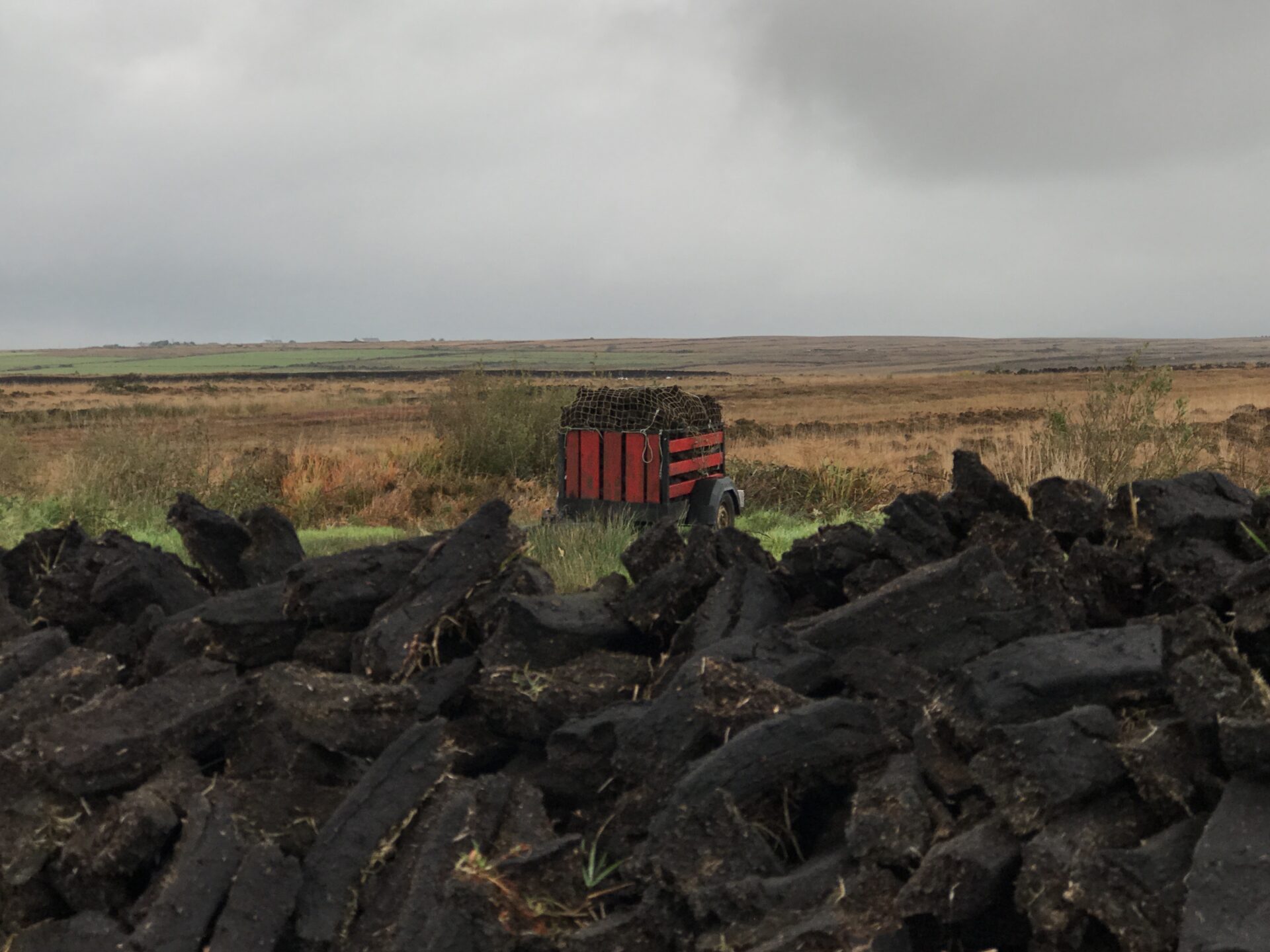 Breandán O Caoimh: Preserving Ireland’s Bogs– Memory, Identity, and the ...