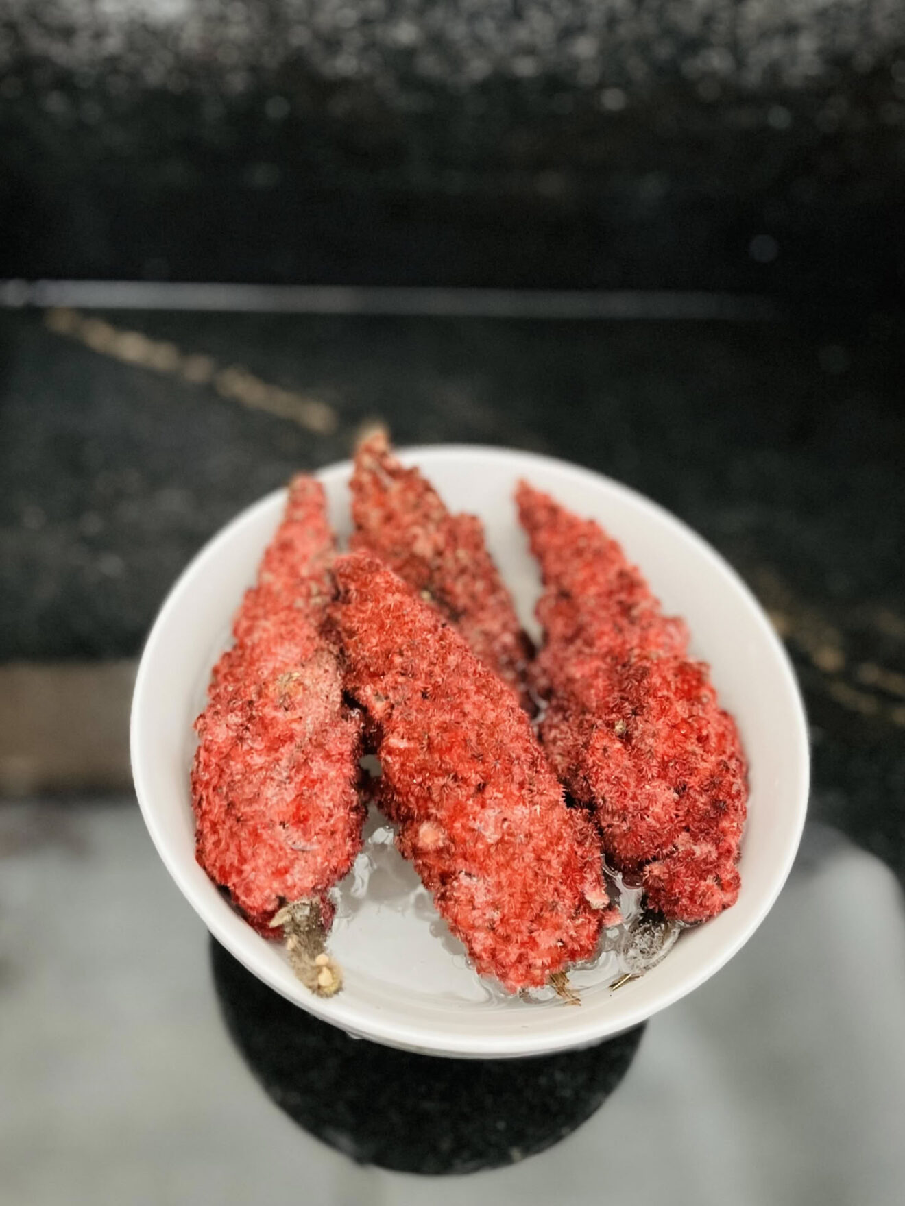 Rhus Juice: an Indigenous-inspired drink from the plant that connects ...
